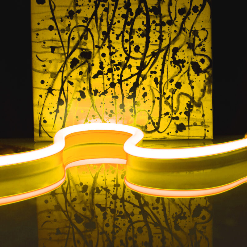 XL LED Neon Flex- Linear Indoor/outdoor Lighting-Surelight